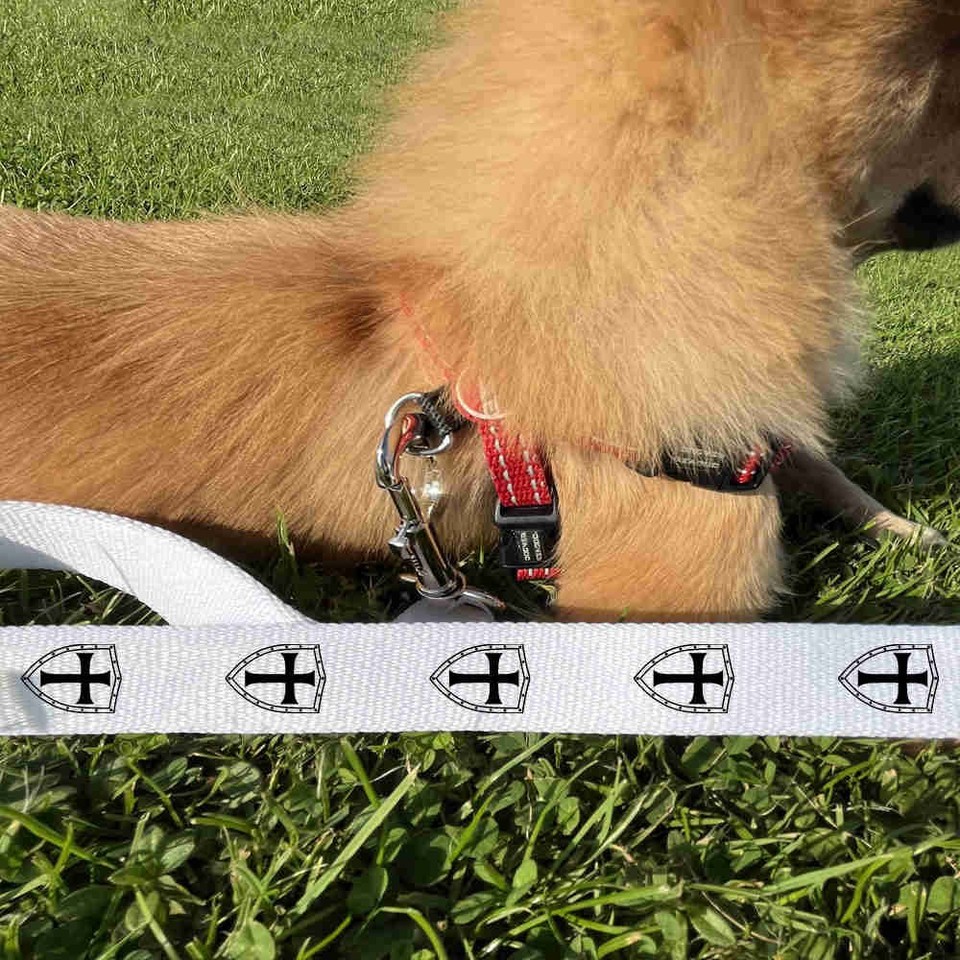 'Medieval Knight's Shield' Dog Lead / Leash (DL00027629) | eBay UK
