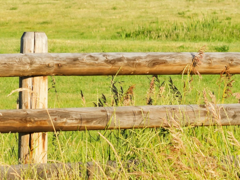 Half Round Fence Rail 3.6m 100mm 4" Green Treated Garden Mesh Fencing ...