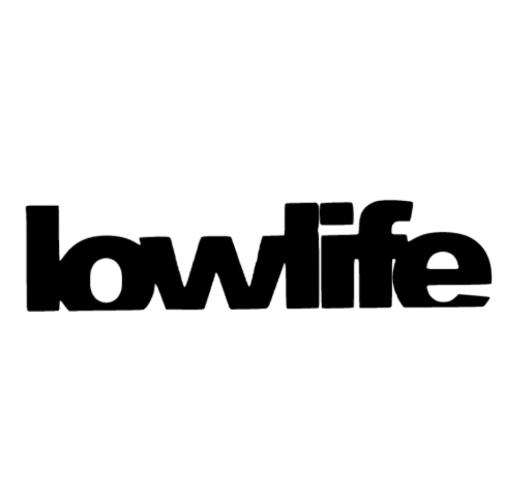 lowlife vinyl decal | jdm | import | slammed | drift | stance | camber ...
