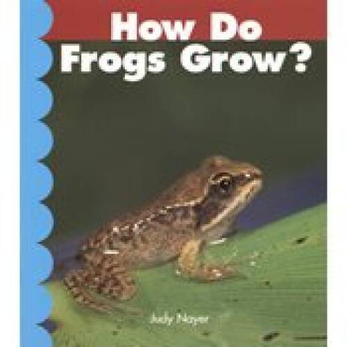 How Do Frogs Grow - Paperback - GOOD 9781567849257| eBay