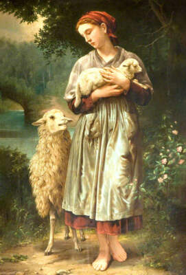 Lady with Sheep Holding baby lamb | eBay