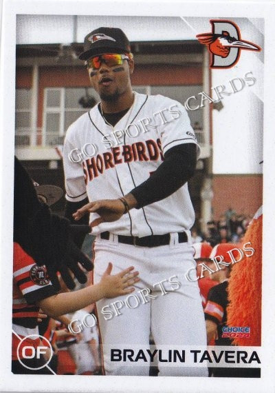2024 Delmarva Shorebirds Braylin Tavera RC Rookie Orioles DR | eBay