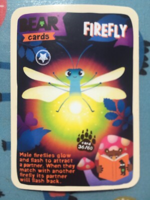 Bear Yoyo Card- 36/60 Firefly. Very Good Condition. Collectable. | eBay UK