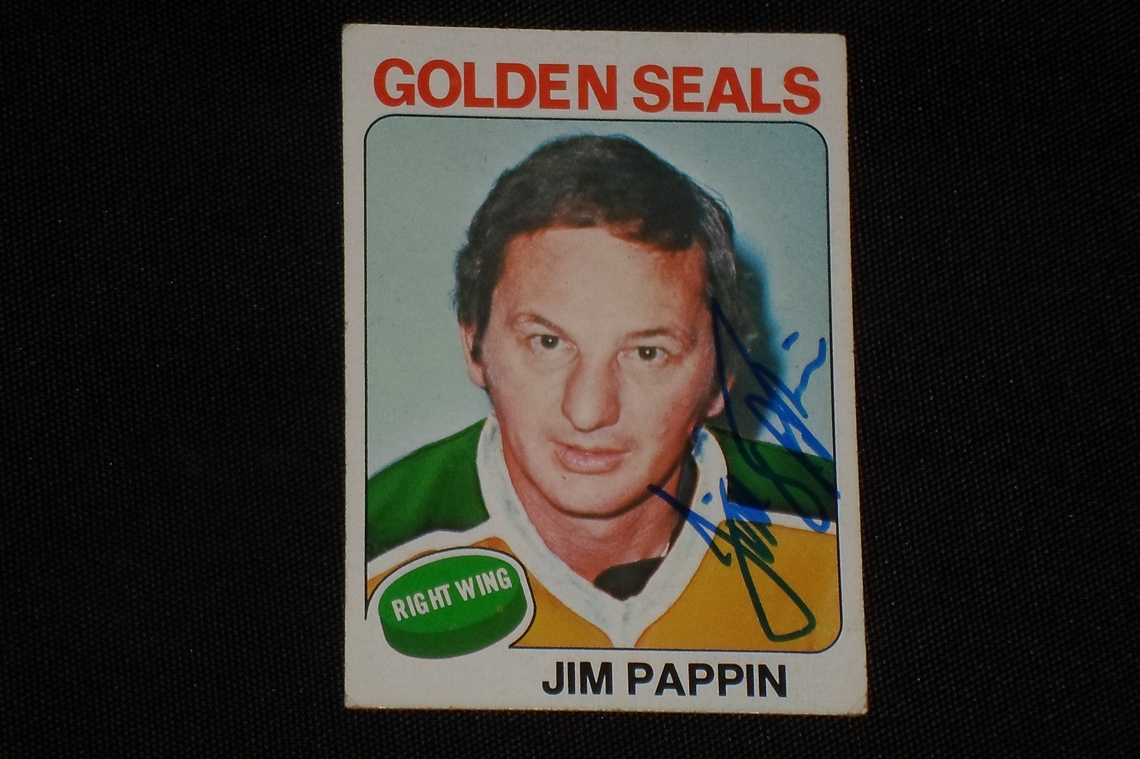 JIM PAPPIN 1975-76 TOPPS SIGNED AUTOGRAPHED CARD #234 GOLDEN SEALS | eBay