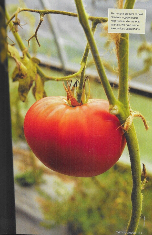 Tasty Tomatoes Magazine Homegrown Garden Advice 25 Profiles Simple ...