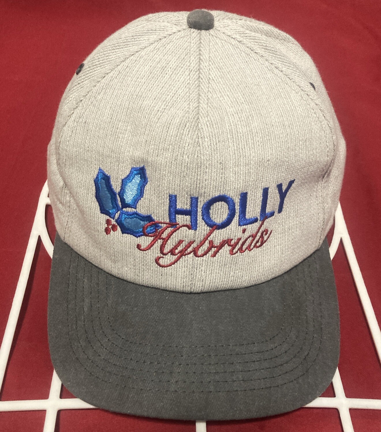 Vintage K-Products HOLLY HYBRIDS Sugar Snapback Hat Baseball Cap Made ...