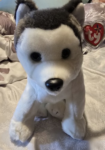 TY “Nanook” 1999 Beanie Buddy Husky Dog Plush New with Tags | eBay