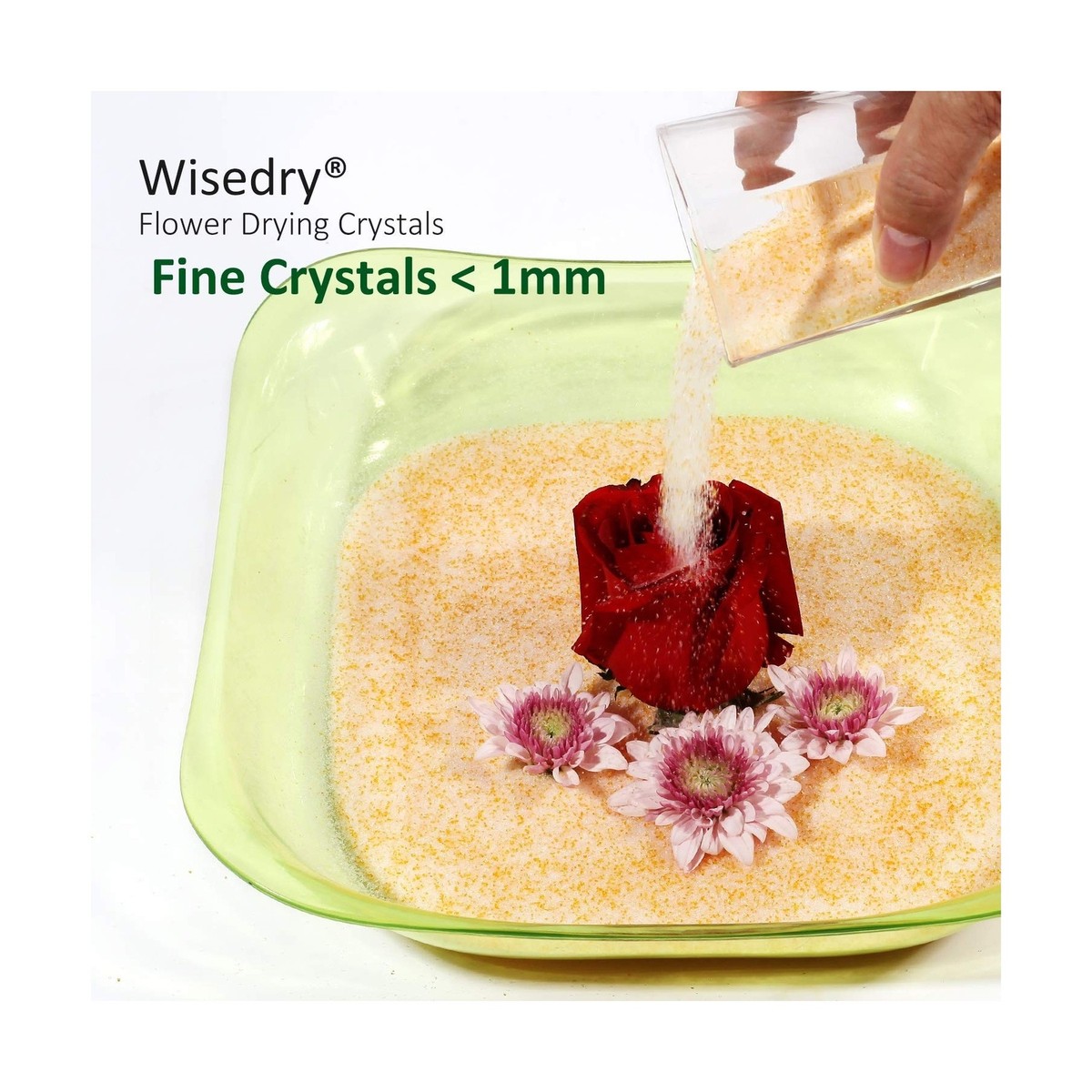 Wisedry Silica Gel Flower Drying Crystals Wisedry Flower Drying Box ...