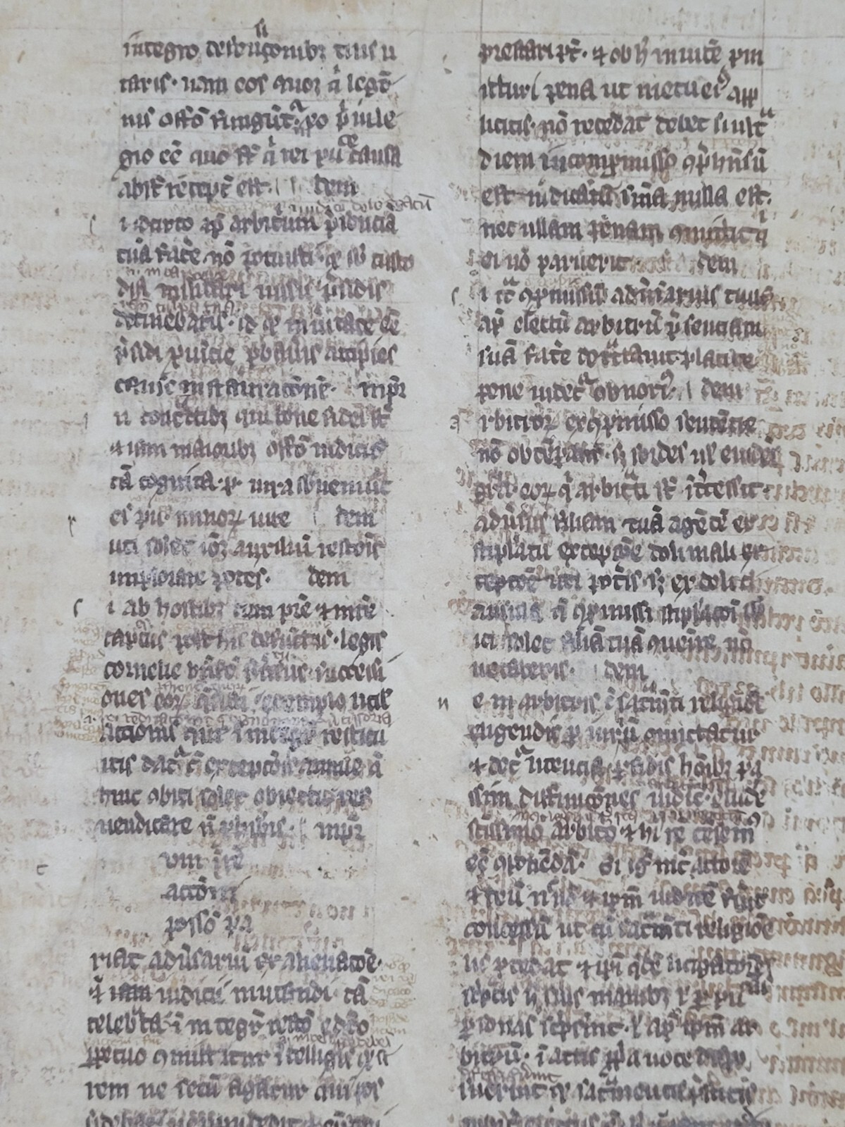 Codex Justinianus ~ Two Gatherings Circa 1300 ~ 24 Leaves ~ Medieval ...