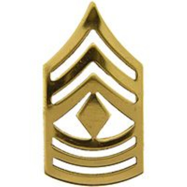 US ARMY RANK-ARMY,E8,1ST SGT (13/16" x 1-1/2") | eBay