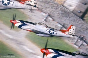 "1947 Thunderbird" Don Feight P-51 Mustang USAF Thunderbirds Print | eBay