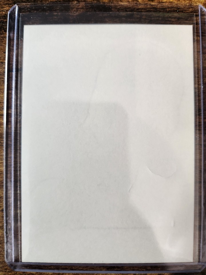 2024 Parkside NWSL Vol. 1 Naomi Girma Sticker San Diego Wave | eBay