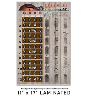 LAMINATED Mandolin Easy Chord & Fretboard Chart Poster Notes Beginner ...