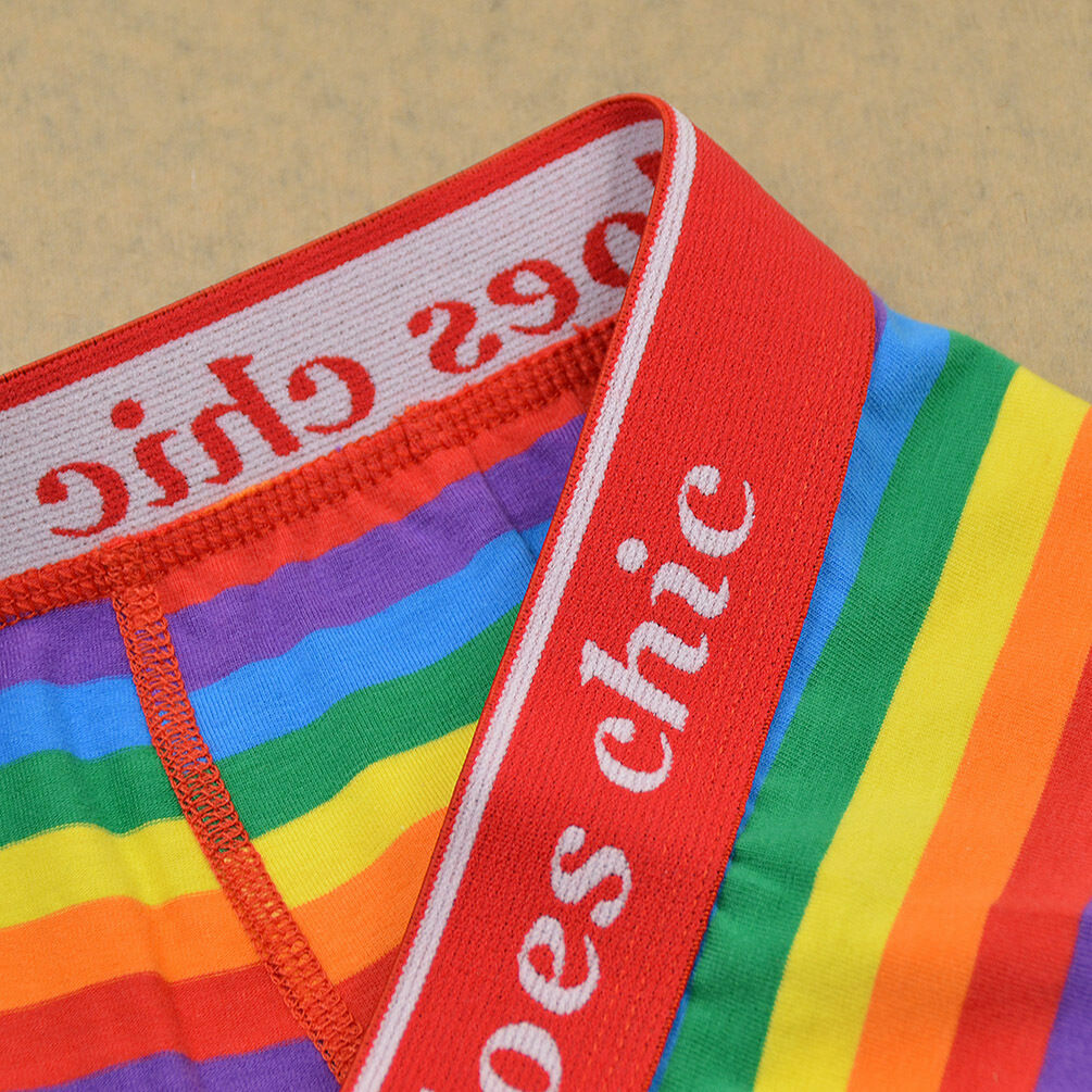Gay LGBT Pride Underwear Mens Rainbow Boxer Brief Shorts M L XL XXL 3XL ...