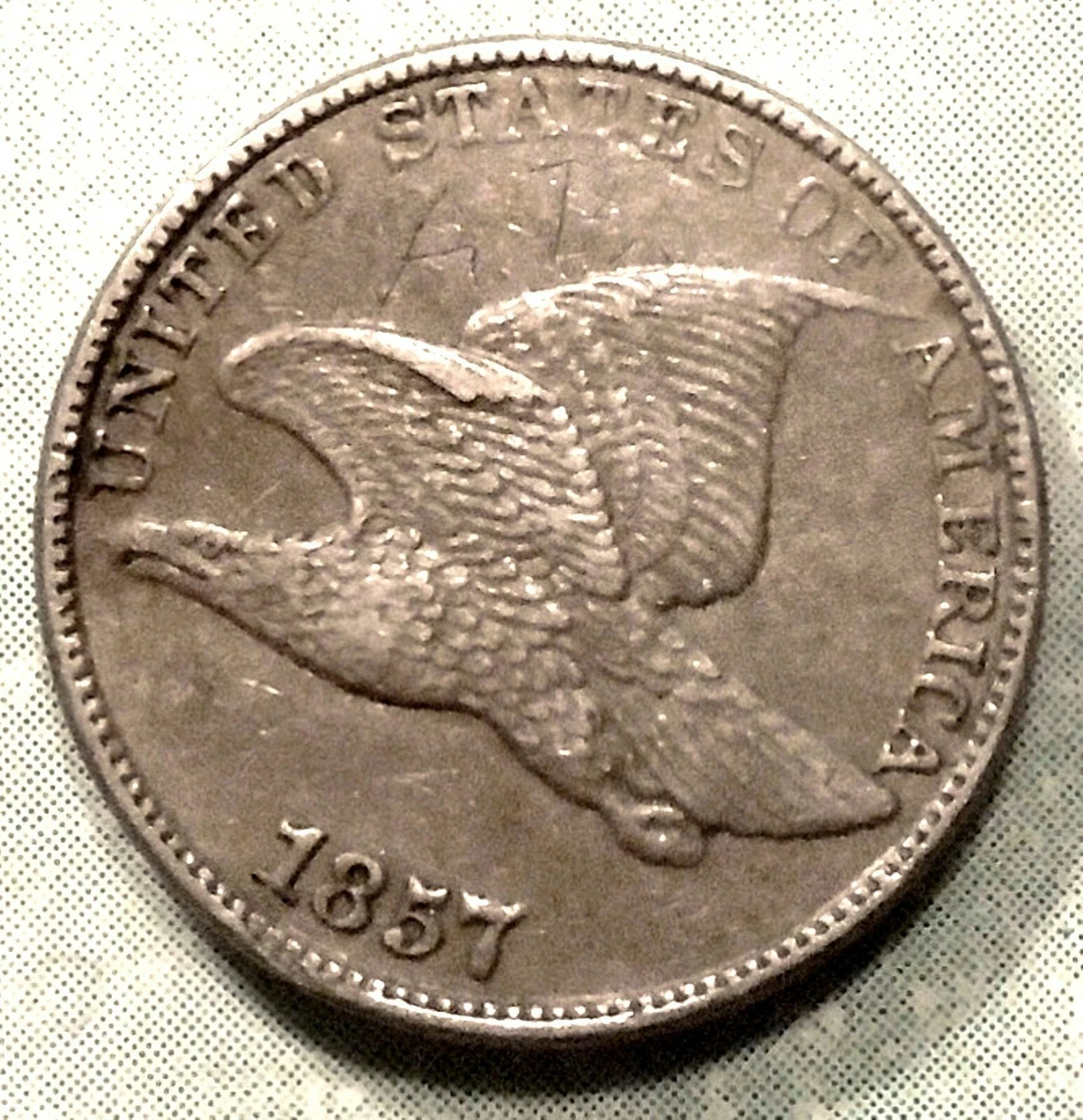 1857 Flying Eagle Coin Shop | vivatumusica.com