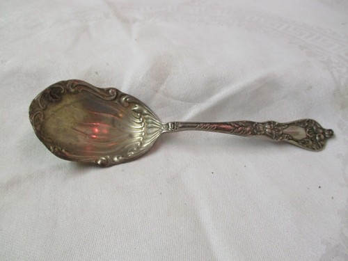 Antique 1890's Baker Manchester Sterling Silver Shell Sugar spoon Poppy ...