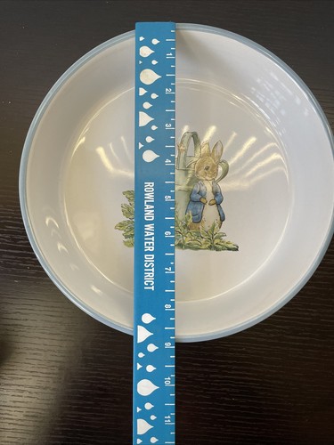 Beatrix Potter Peter Rabbit Garden Spring Easter 9” Ceramic Serving ...