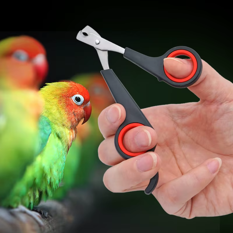 Pet Nail Clippers Cutter Parrot Nail Trimmer Scissors for Dogs Cats ...