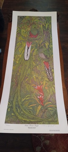 Vintage Art Print "Rain Forest Reign" Signed By Laura Hulbert 1983 #43 ...
