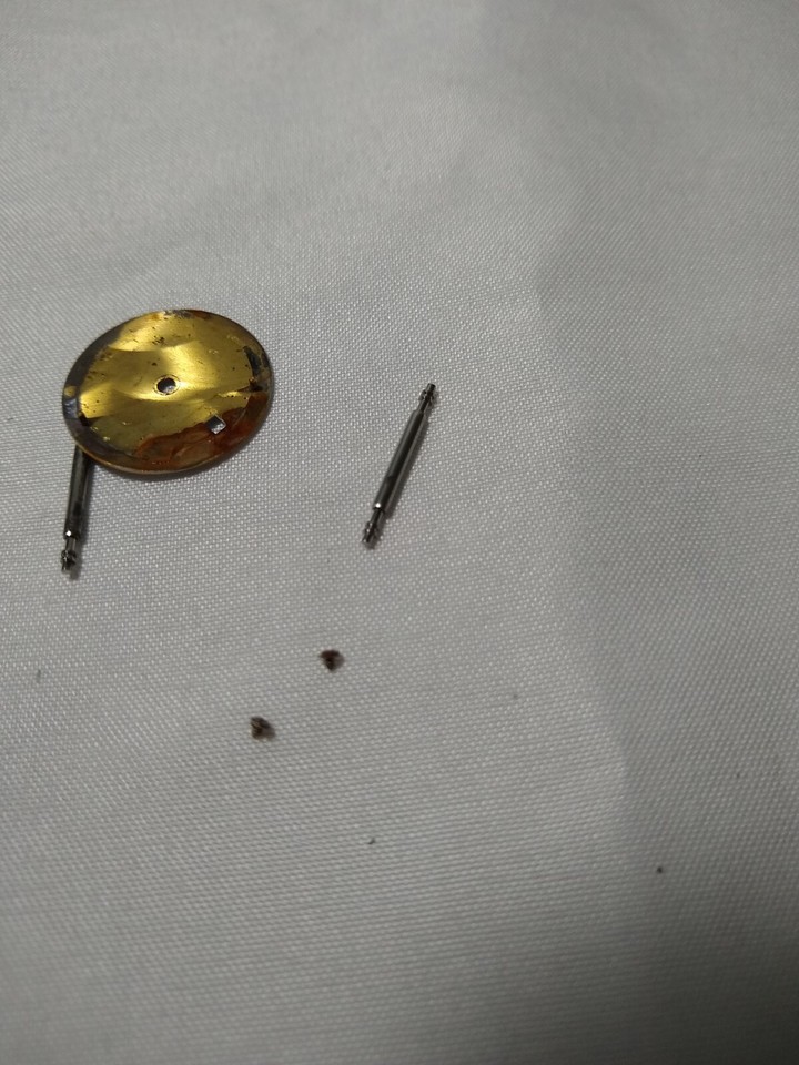 TAG Heuer Professional 200 Meter - Dial/Pins/Screws - FREE S&H! | eBay