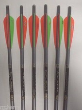 Easton Xx75 Magnum 2219 22" Raw Bolts 1 Dozen for sale online | eBay