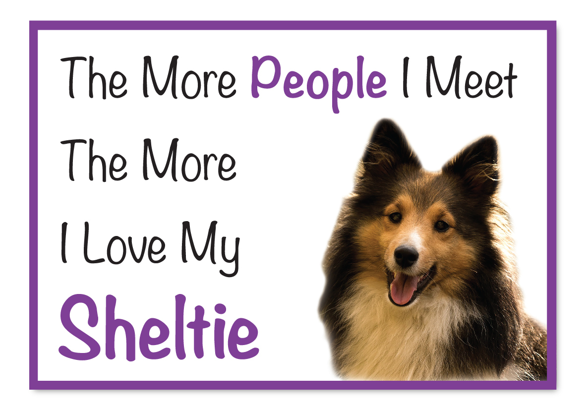 Sheltie Quotes Shetland Sheepdog Puppies On The Way??