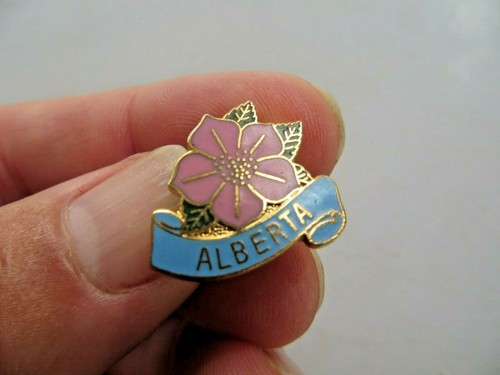 ALBERTA CANADA WILD RED ROSE CANADIAN SOUVENIER LAPEL HAT PIN | eBay