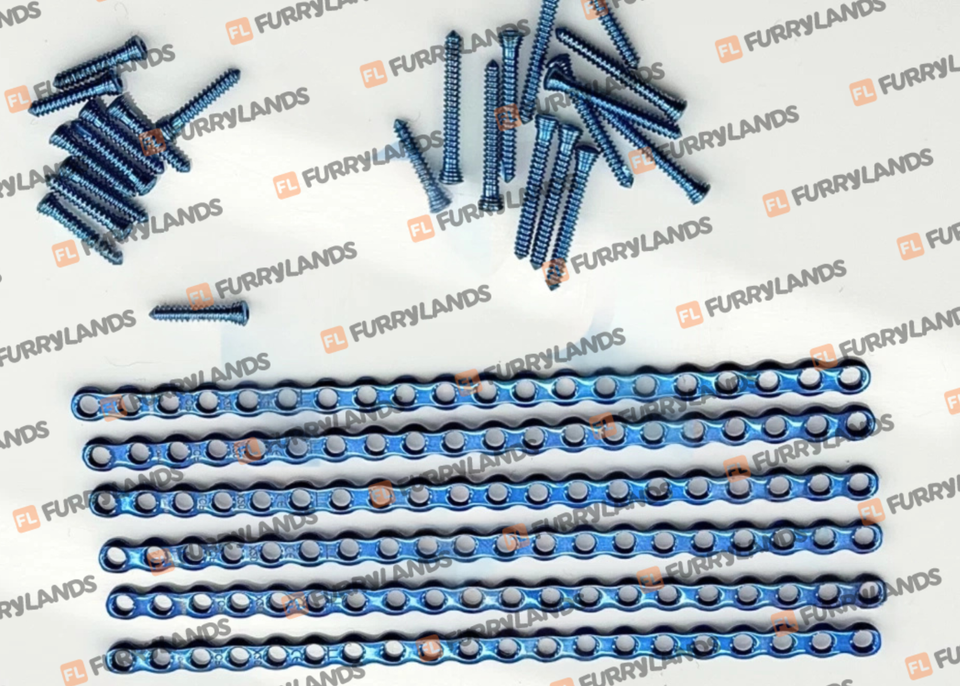 2.7mm Titanium Cuttable Locking Plates & Screws – 77 Pcs Veterinary ...