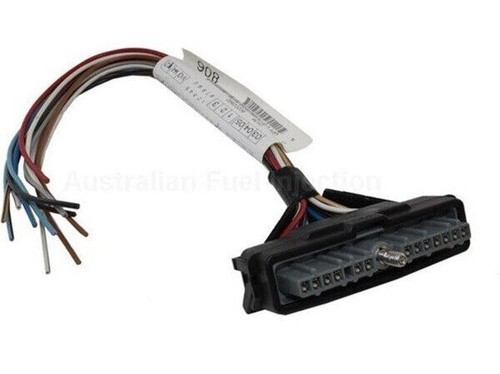 DFI Module Plug Kit V6 COMMODORE VN VP VR VS VX VT VY Ecotec 3.8L Dfi ...