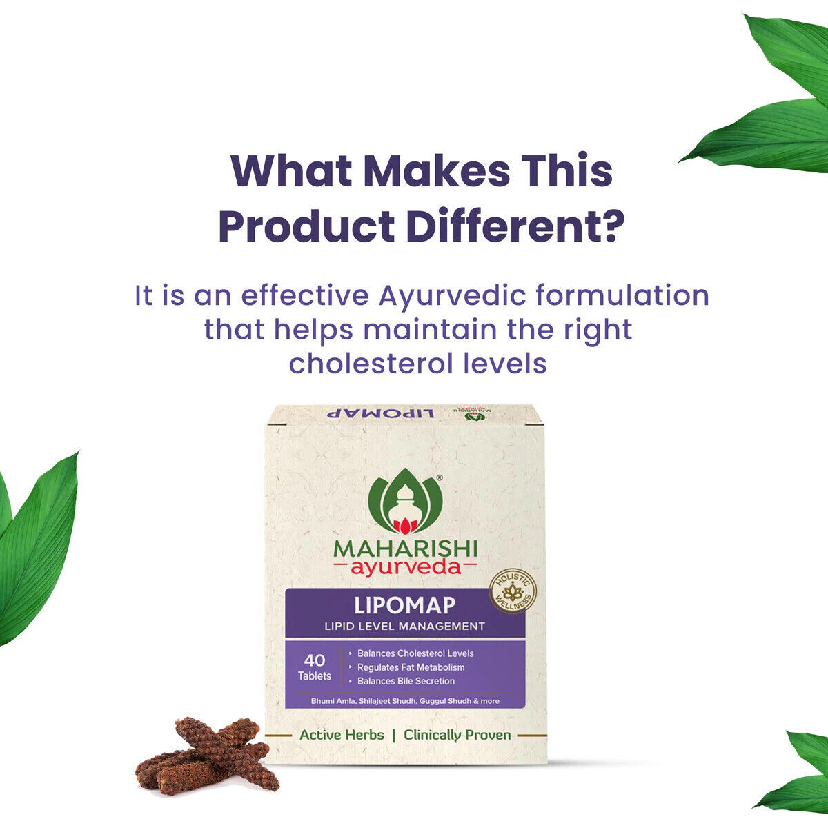 Maharishi Ayurveda LIPOMAP 40 Tablets Ayurvedic Herbal Product - Free ...