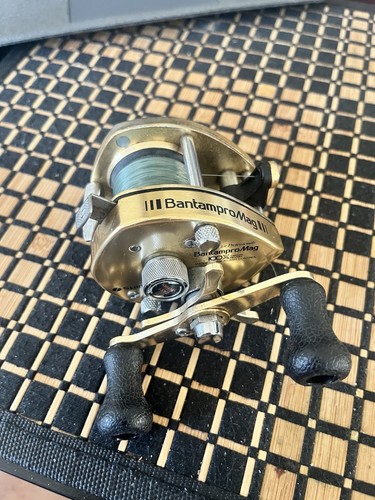 Shimano Bantam 100X SG Pro Mag. Gold Plated. Excellent Shape. Clean And ...