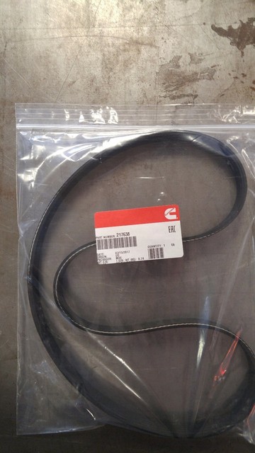 217638 Cummins NT NH V-ribbed Belt for sale online | eBay