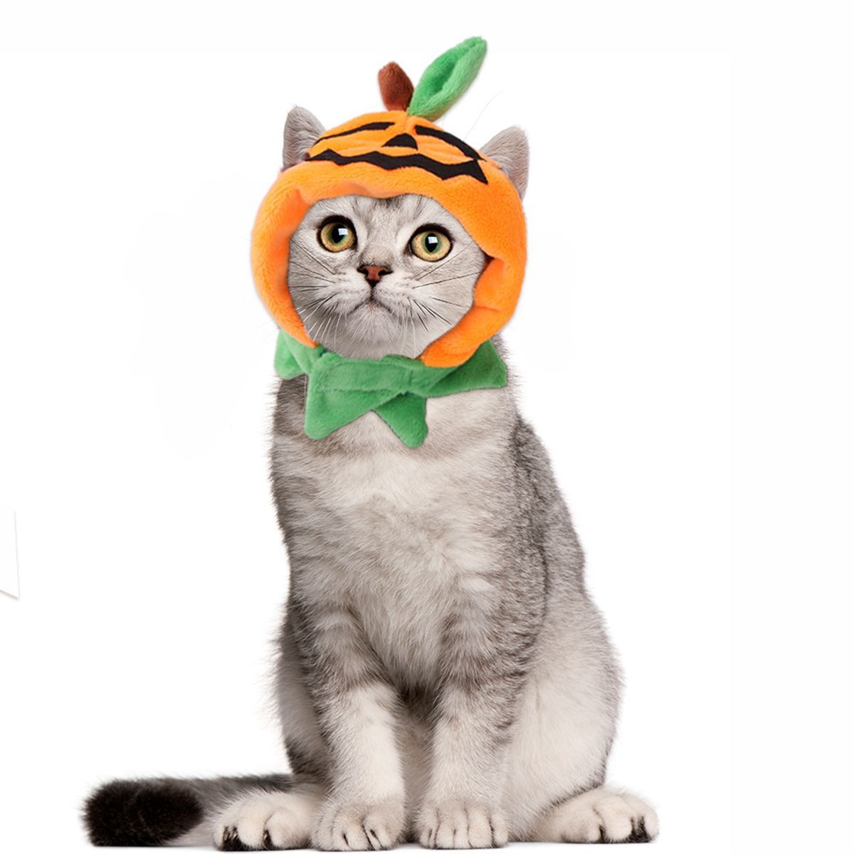 Cat Pumpkin Costume