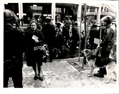 LG76 1972 Original M. Leo Tierney Photo BOSTON POLICE DOG & VIETNAM WAR ...