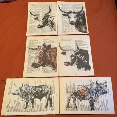 Cow themed Dictionary Page Art Prints | eBay