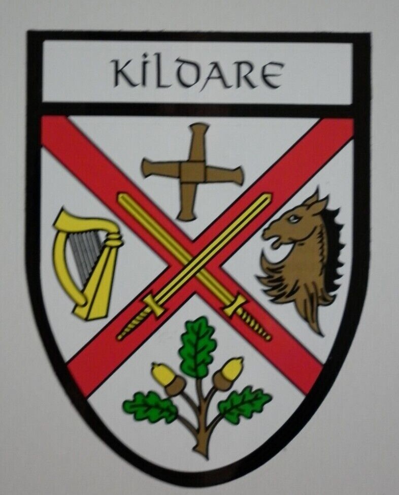 IRELAND County Shield Stickers / Decals - Irish Gift ALL 32 Available ...