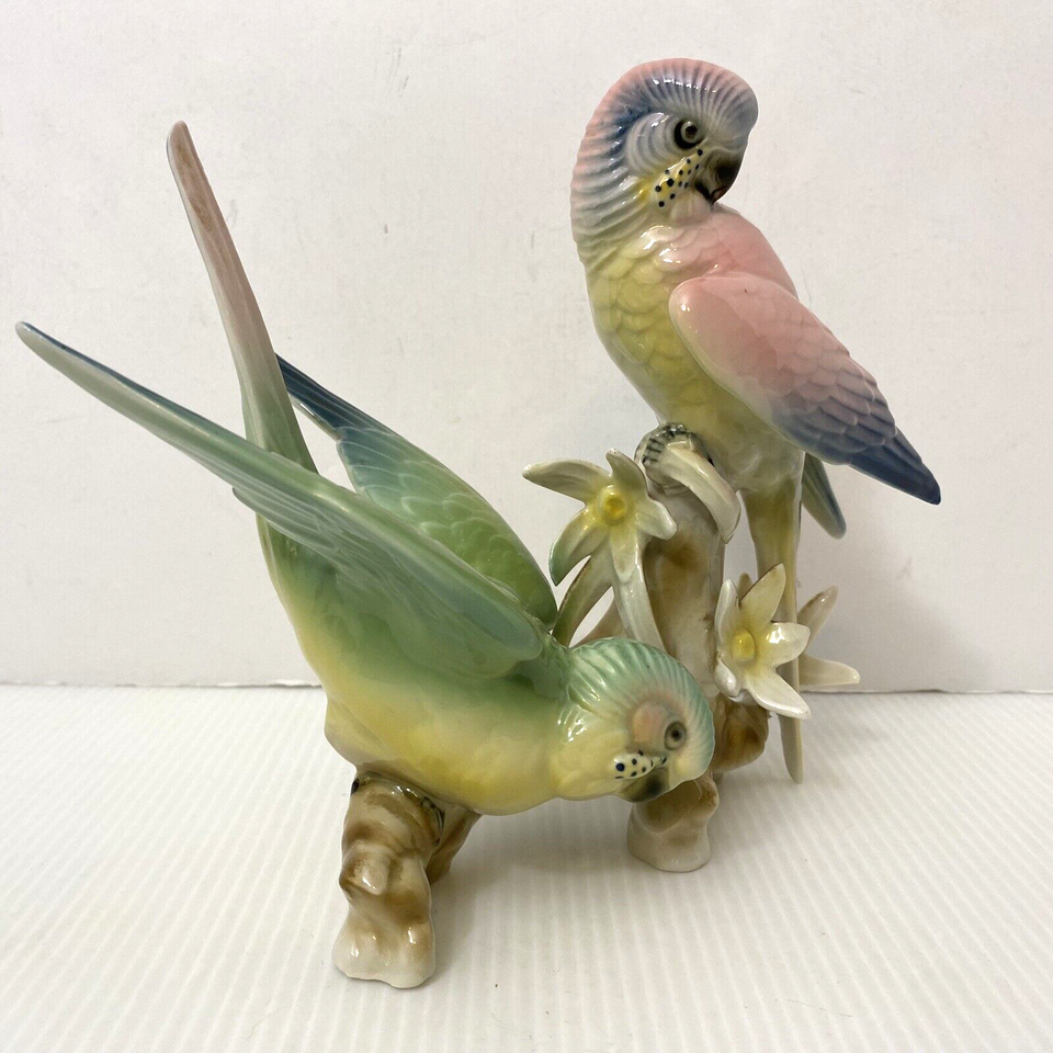 Wilhelm Rittirsch Dresden Porcelain Parakeet Parrot Bird Figurine Not ...