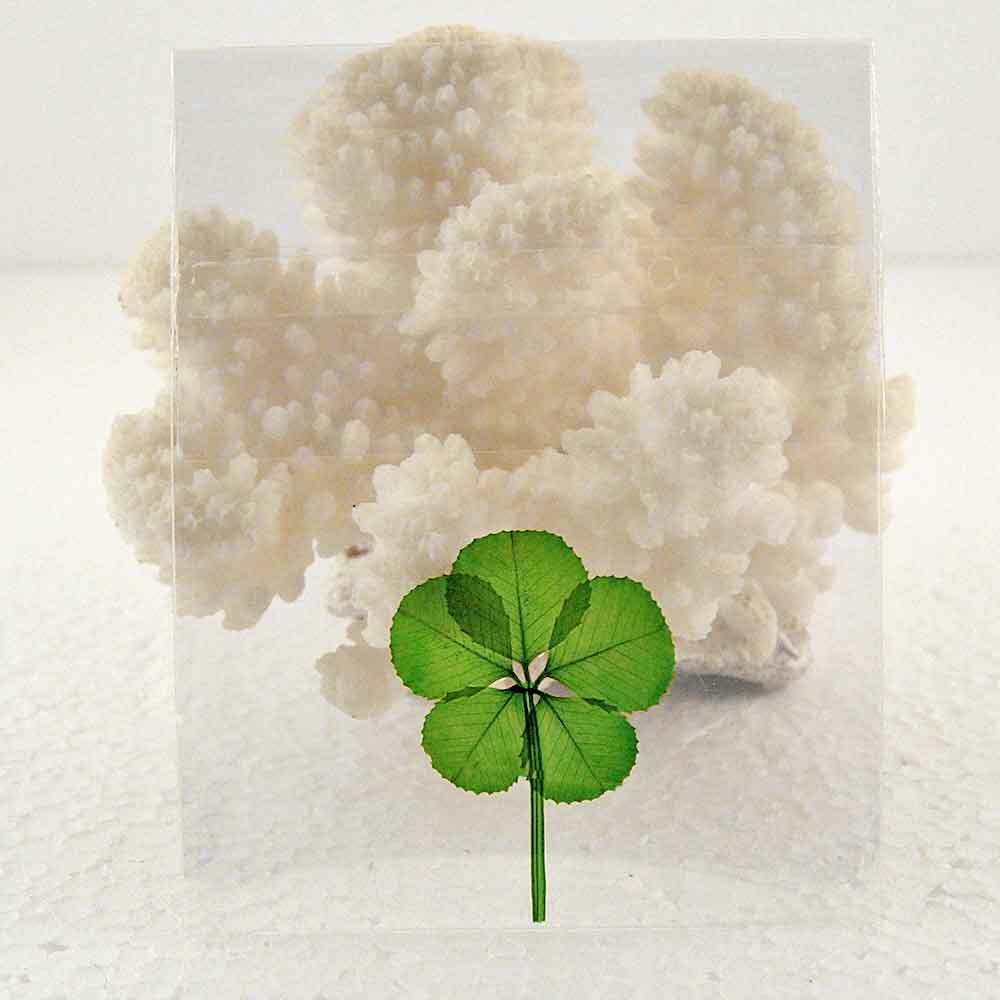 5 Leaf Clover Uncommon Jewel: Five Leaf Clover Pendant Chain Necklace