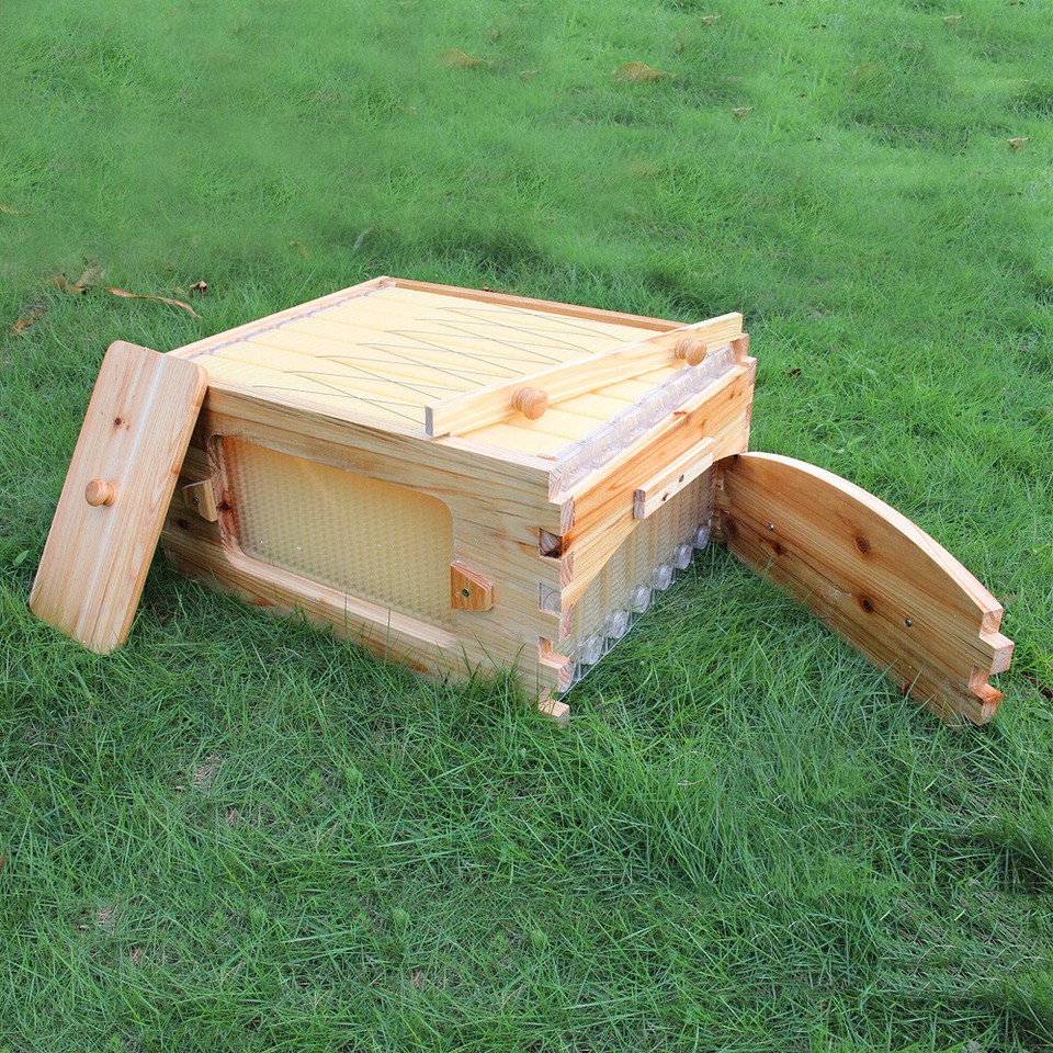 7PC Free Flowing HoneyHive Beehive Frames & Beekeeping Super Brood ...