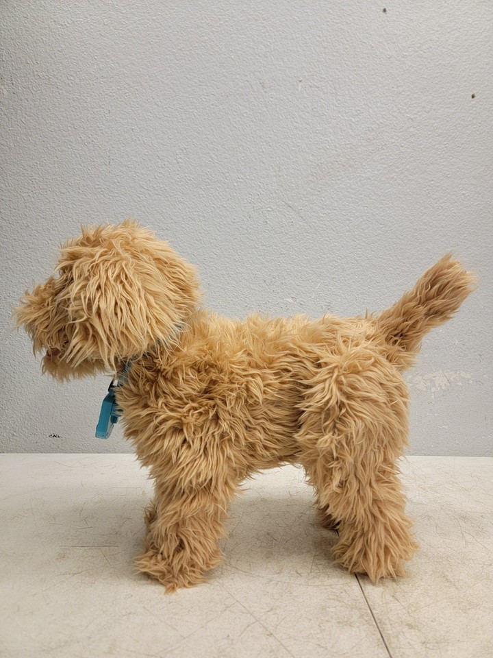 Sky Rocket My Fuzzy Friend Moji Interactive Plush Robo Labradoodle Dog ...