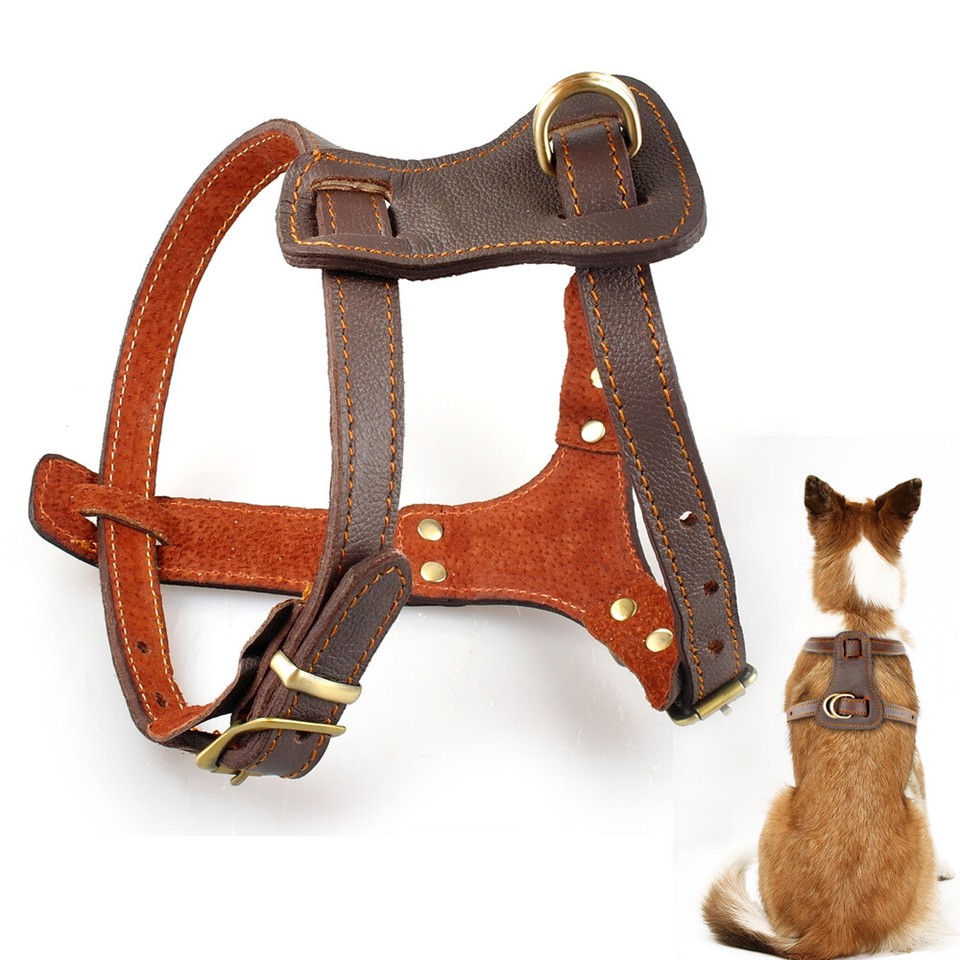 Genuine Leather Dog Harness Heavy Duty Pet Vest Medium Large Dogs ...