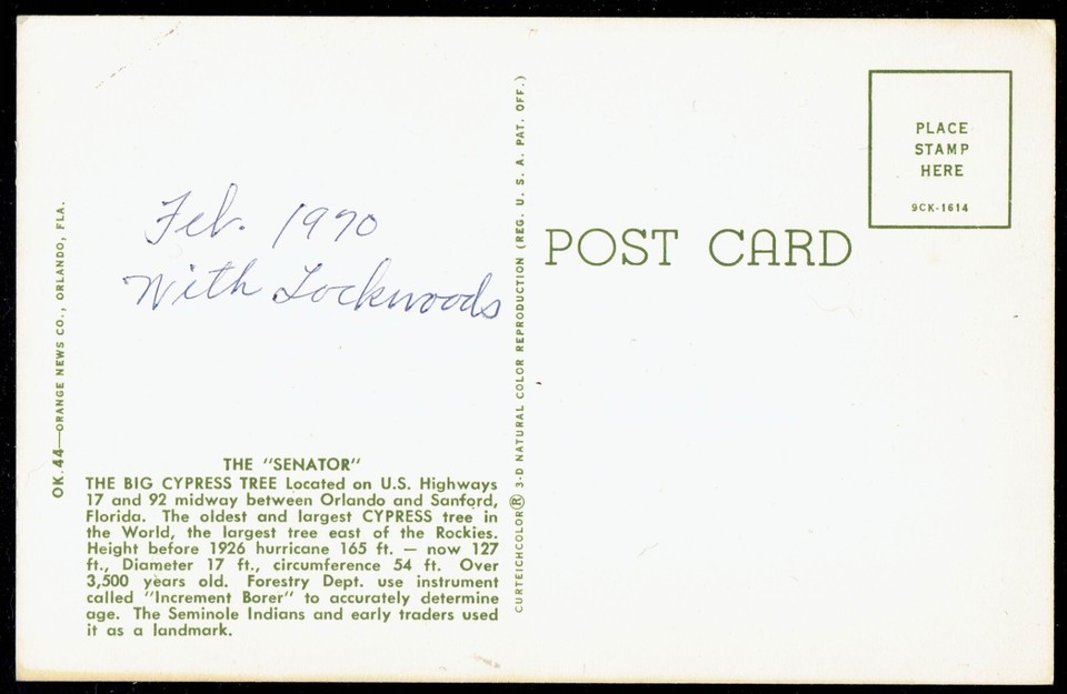 Senator Cypress Tree Landmark used by Florida Seminole Indians ...