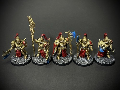Warhammer 40k Adeptus Custodes Wardens Pro Painted commission listing ...