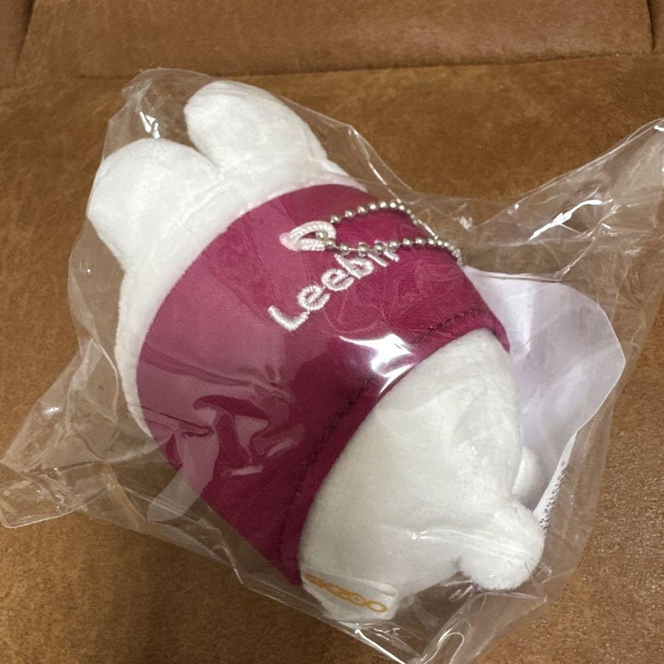 SKZOO Leebit Mini Bag Charm Stray Kids Lino Plush | eBay