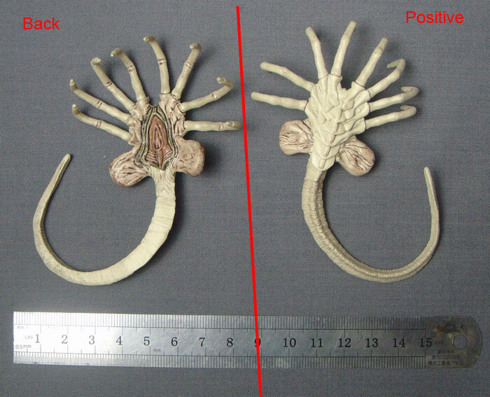 Prometheus Alien Facehugger