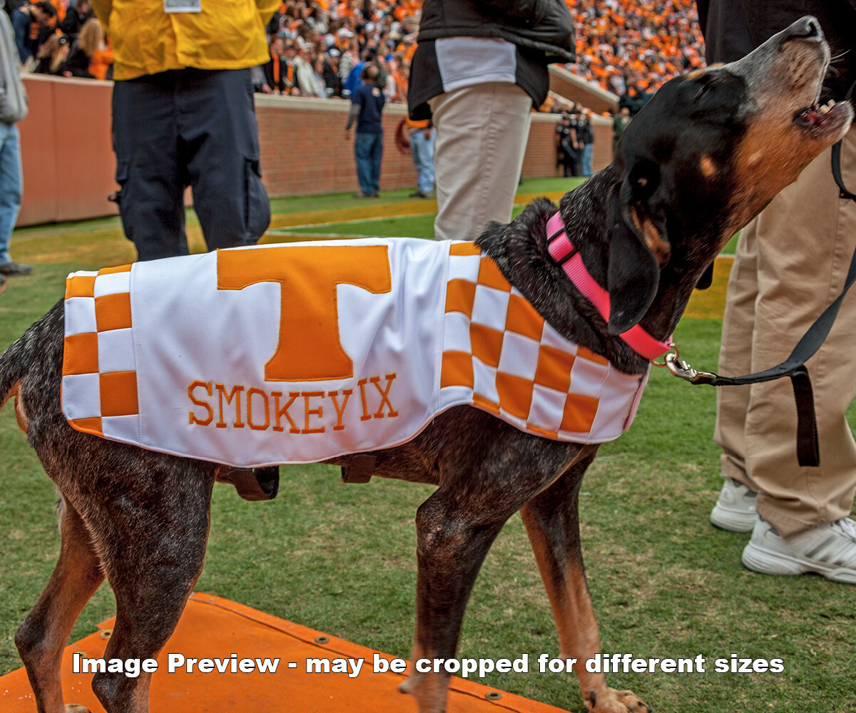 University Of Tennessee Mascot Logo