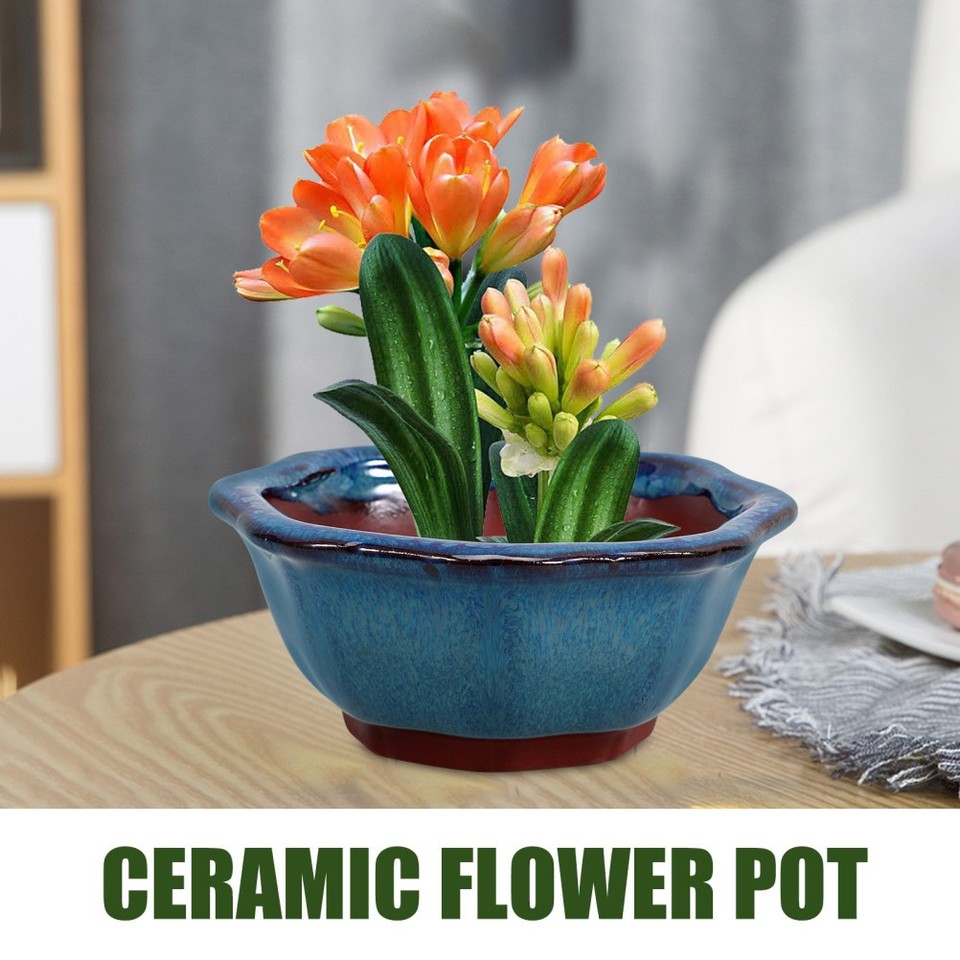 2 Count Bonsai Plant Pot Orchid Pots Cactus Planter Ceramic Flowerpot ...