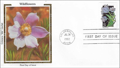 Pasque Flower Pulsatilla Vulgaris Wildflower Botany USA Colorano Silk ...