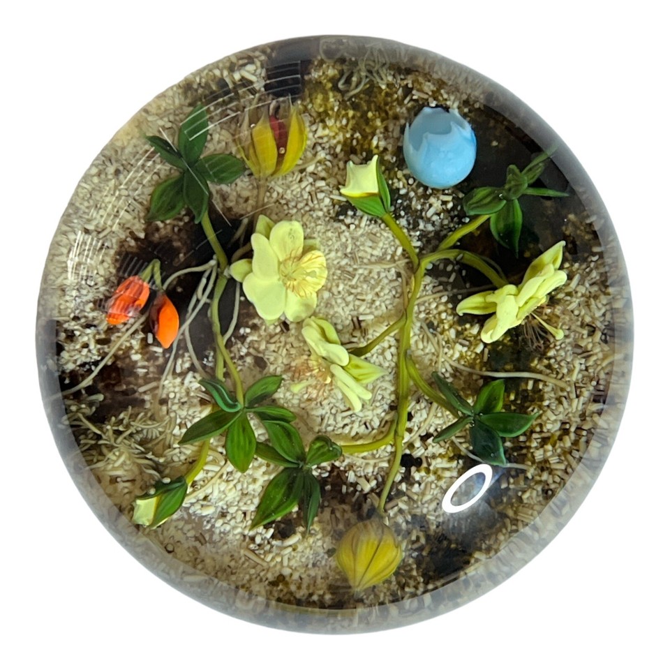 Vintage Paul Joseph Stankard Botanical Handblown Glass Paperweight A193 ...