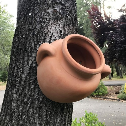 Natural Terracotta Fallen Pot or Hanging Pot with Loops Handles. 2 ...